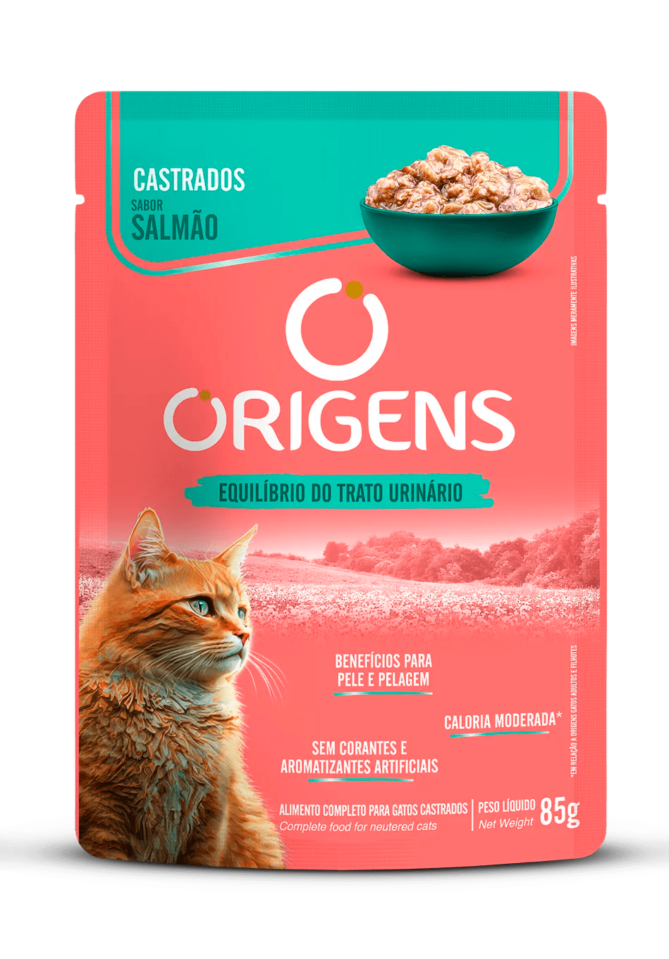 Origens Sachê: Conheça mais um lançamento saboroso para Cães e Gatos ...